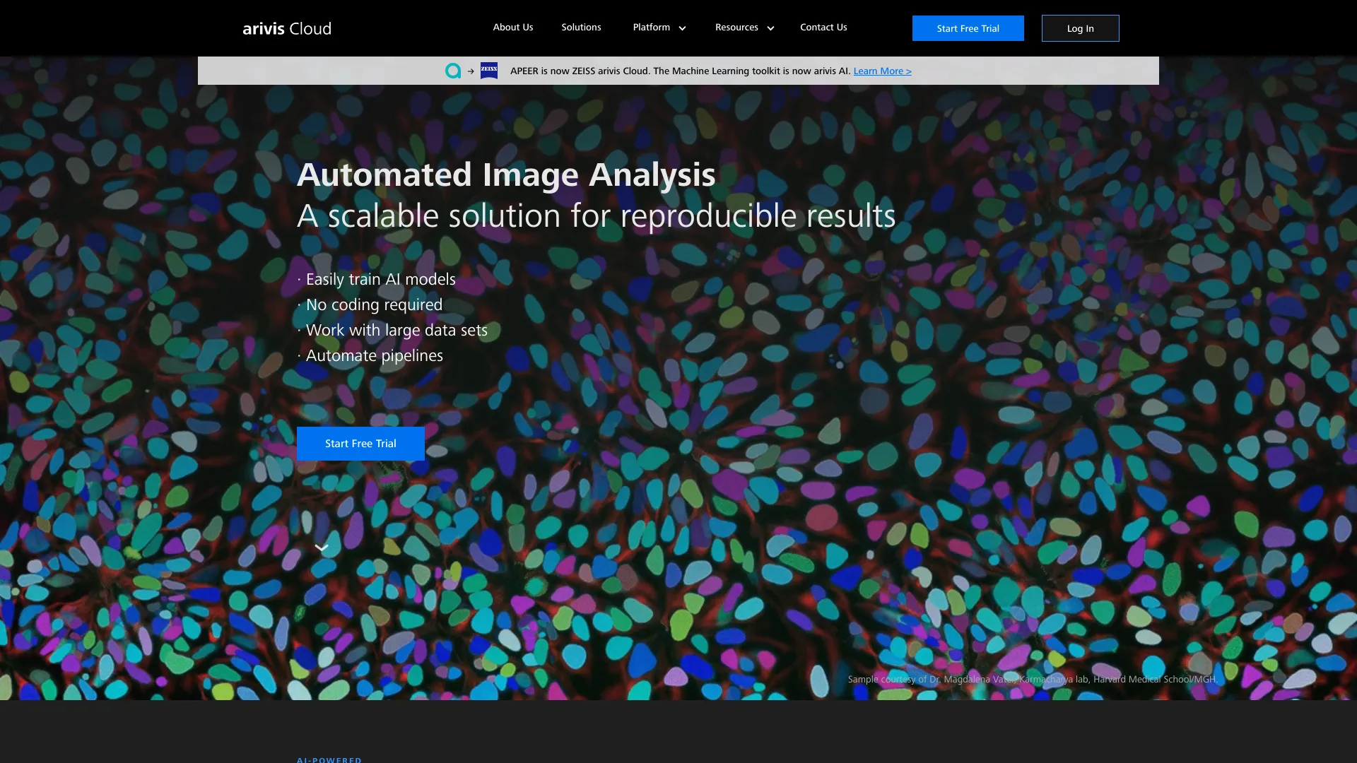 APEER: Custom Image Analysis Solutions | Creati.ai