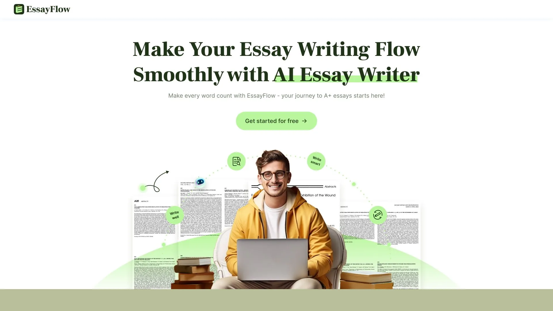 EssayFlow: The Undetectable AI Essay Writer Solution | Creati.ai