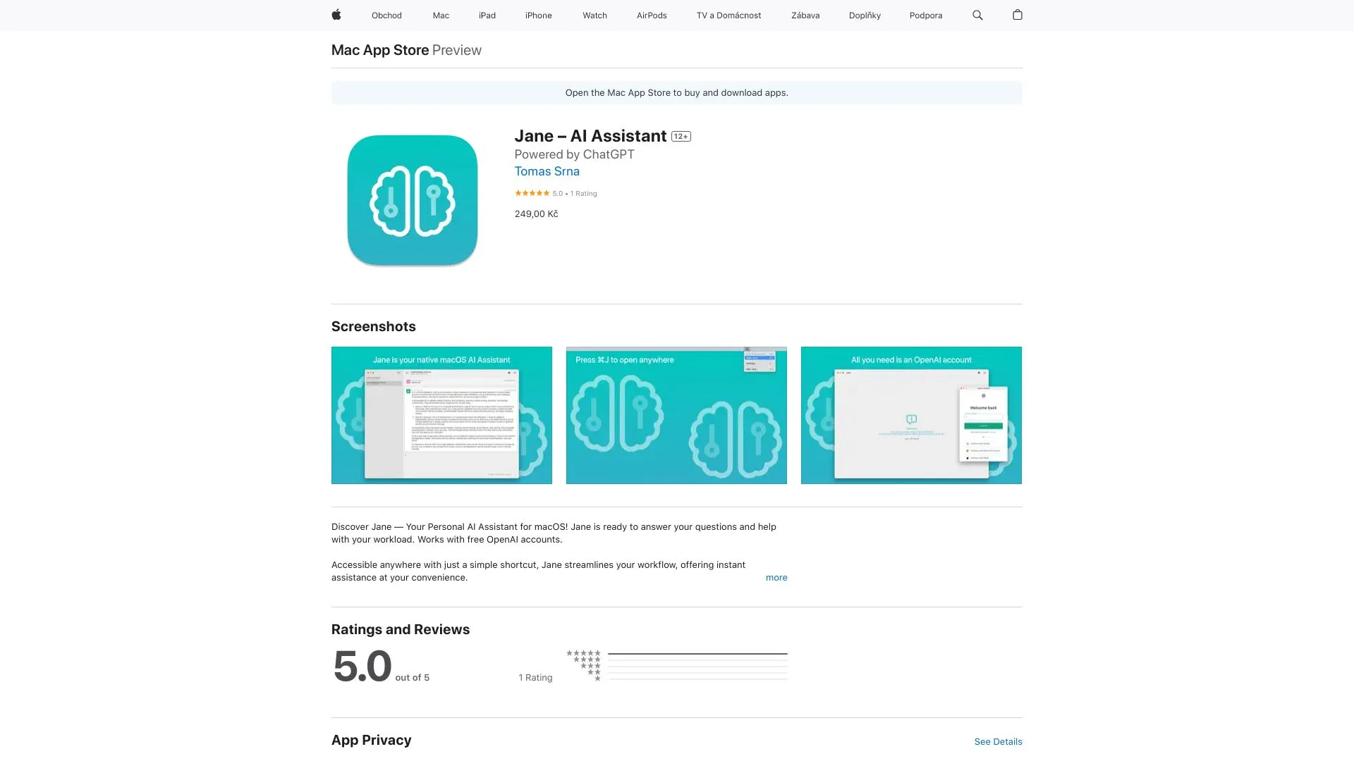Jane AI Assistant: Seu Assistente Virtual Definitivo Potencializado por ...