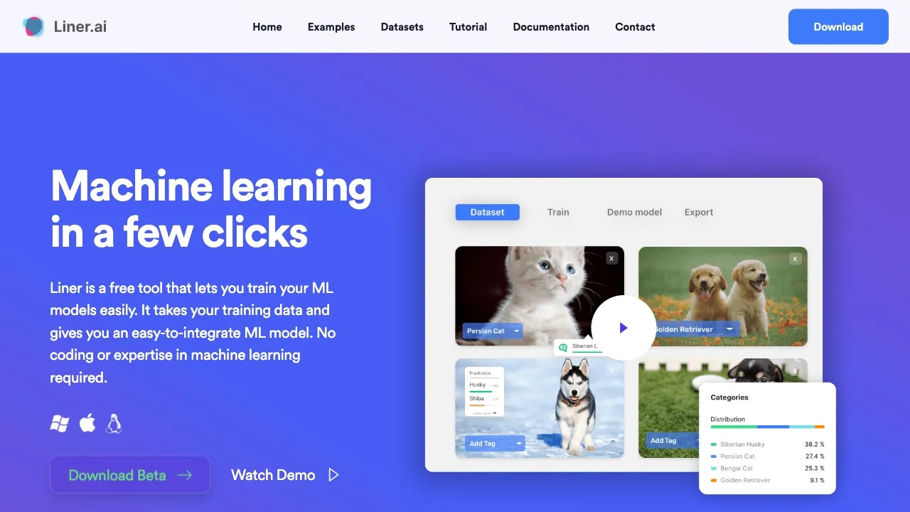 Liner - AI-Powered No-Code Machine Learning Tool | Creati.ai