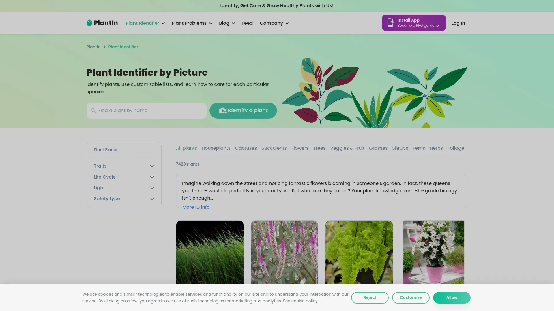 PlantIn – Plant Identifier & Care App for All Your Plant Needs | Creati.ai