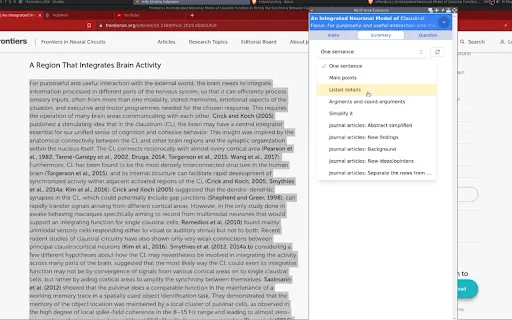 Review Express - Efficient Text Summarization Tool | Creati.ai