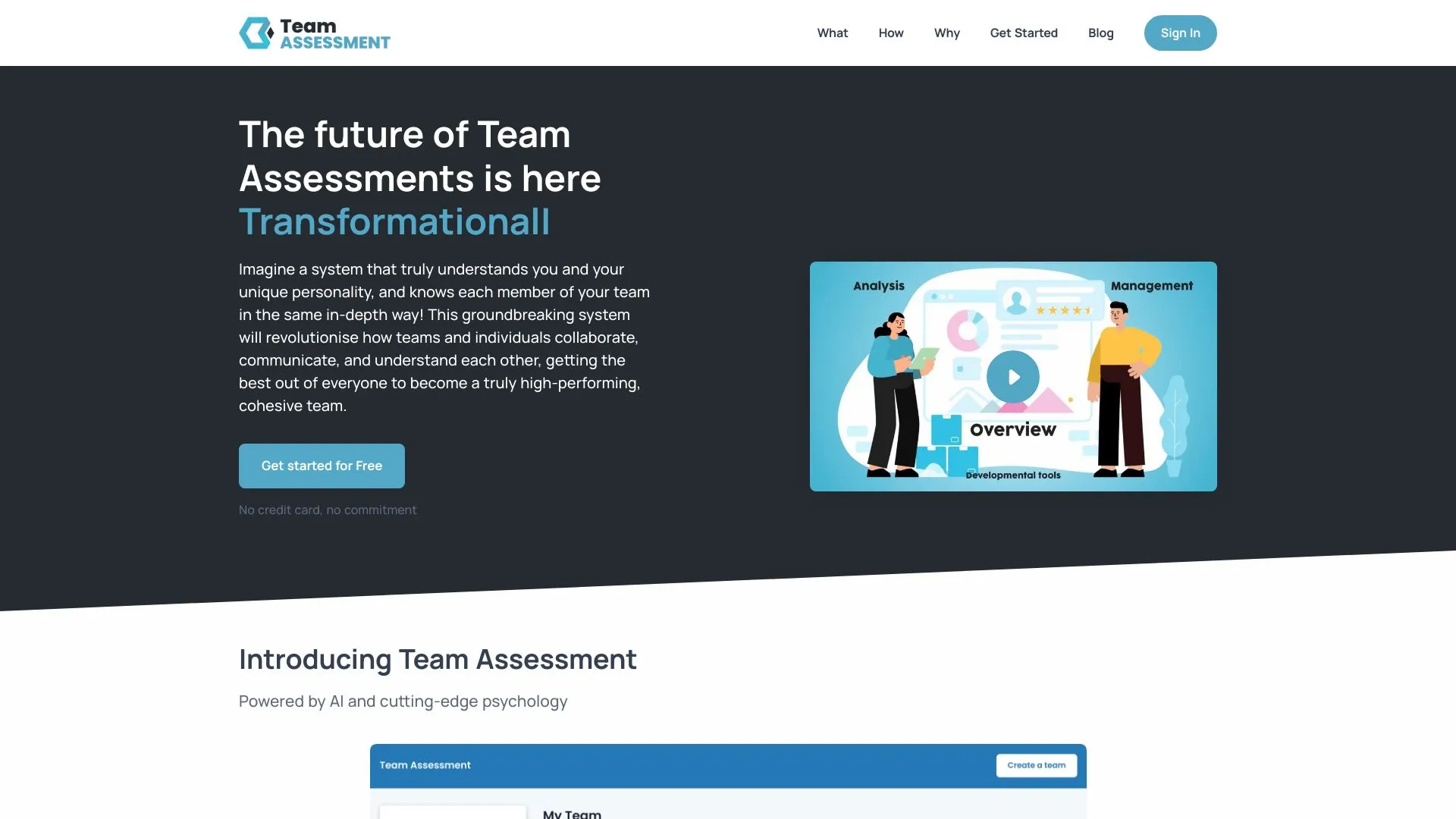 Comprehensive Team Assessment Tool - Team Assessment | Creati.ai