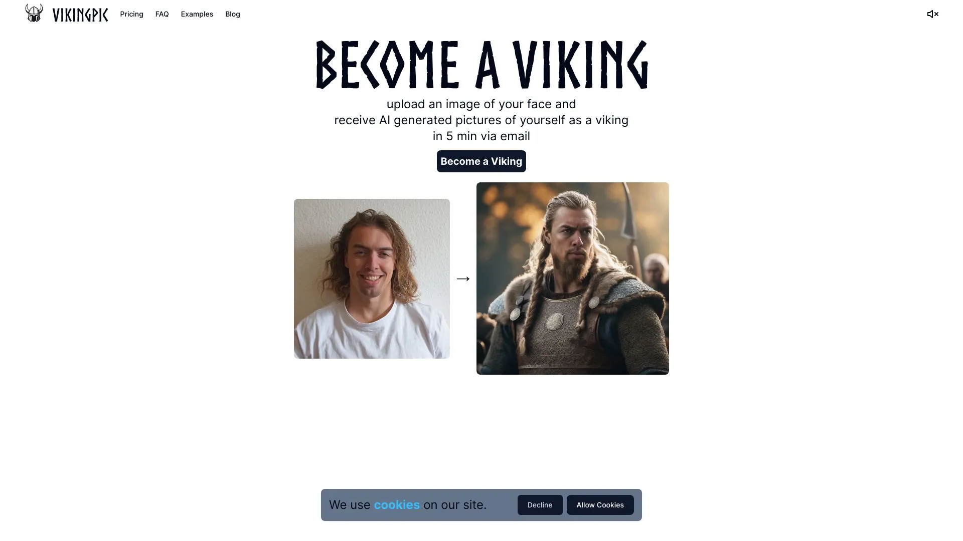 VikingPic – Transform Your Photo into a Viking Avatar | Creati.ai